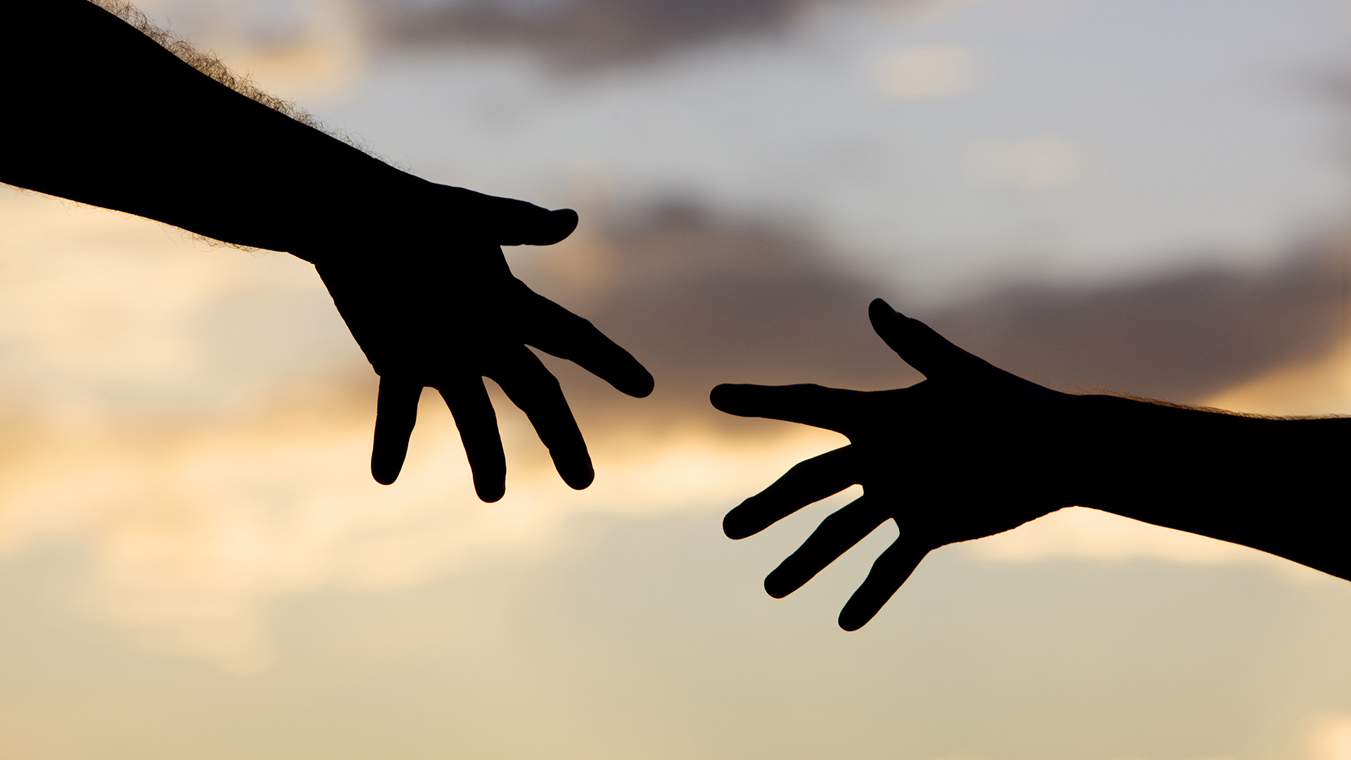 Orthopaedic Hand Surgeon in Raleigh - John Erickson, MD